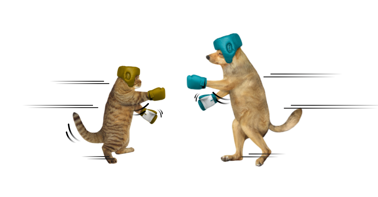 Short-term insurance vs Long-term insurance. | Pineapple Insurance