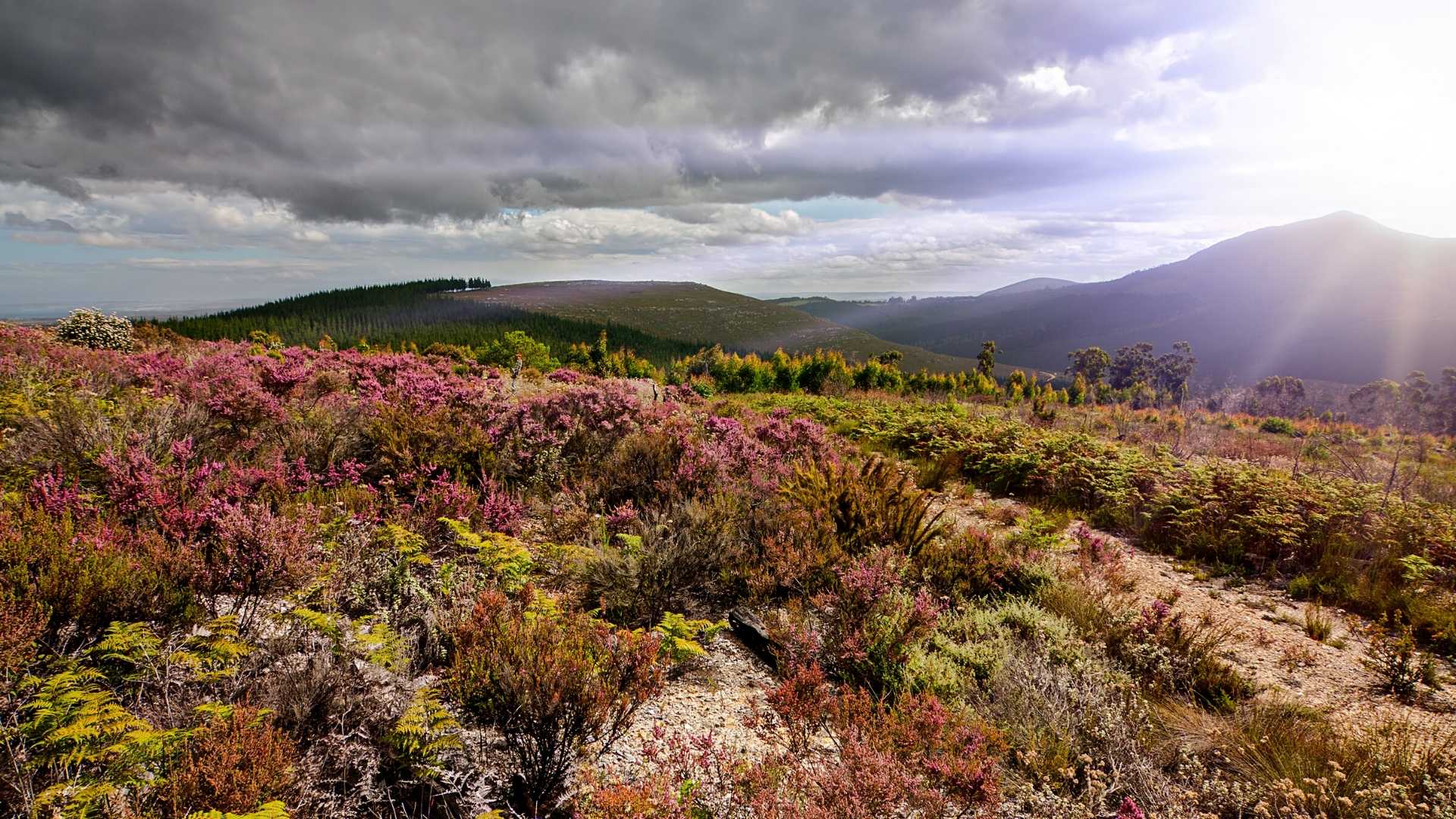 Biodiversity Management