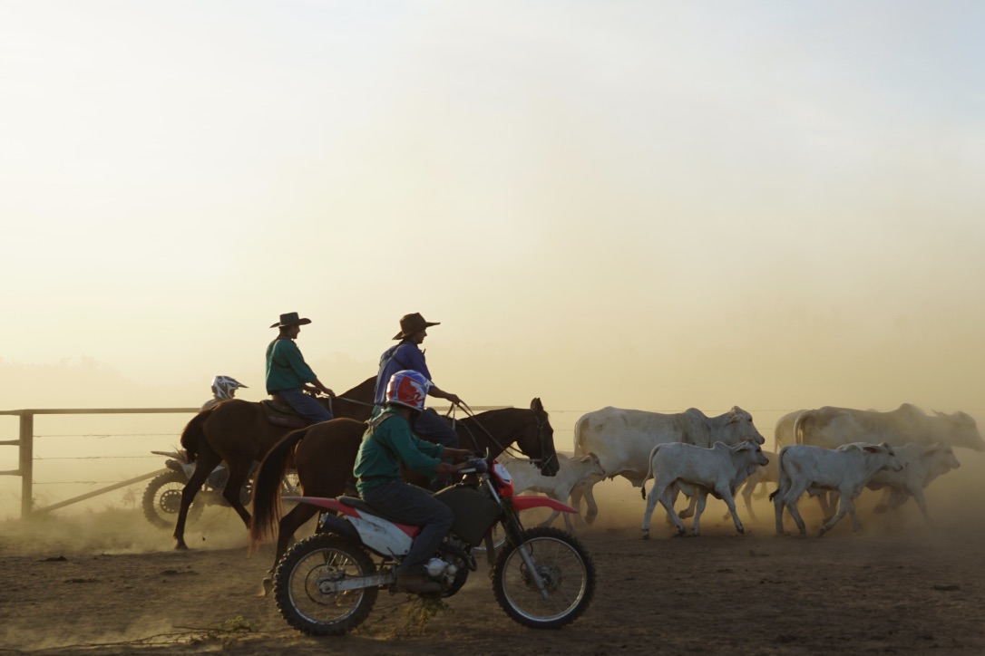 Portfolio: Studio Rural