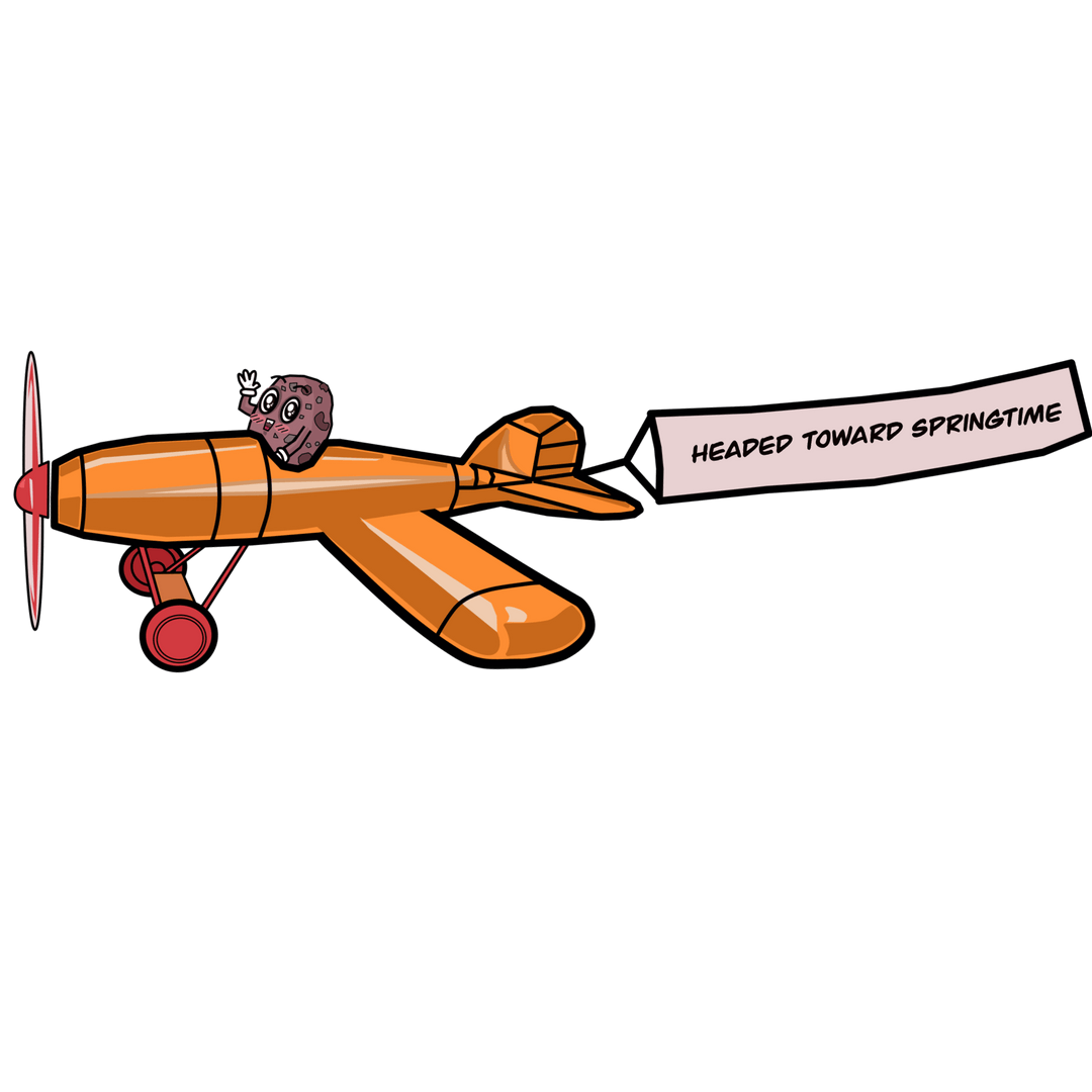 The Kookie Box | Artisan Cookies with International Flavors