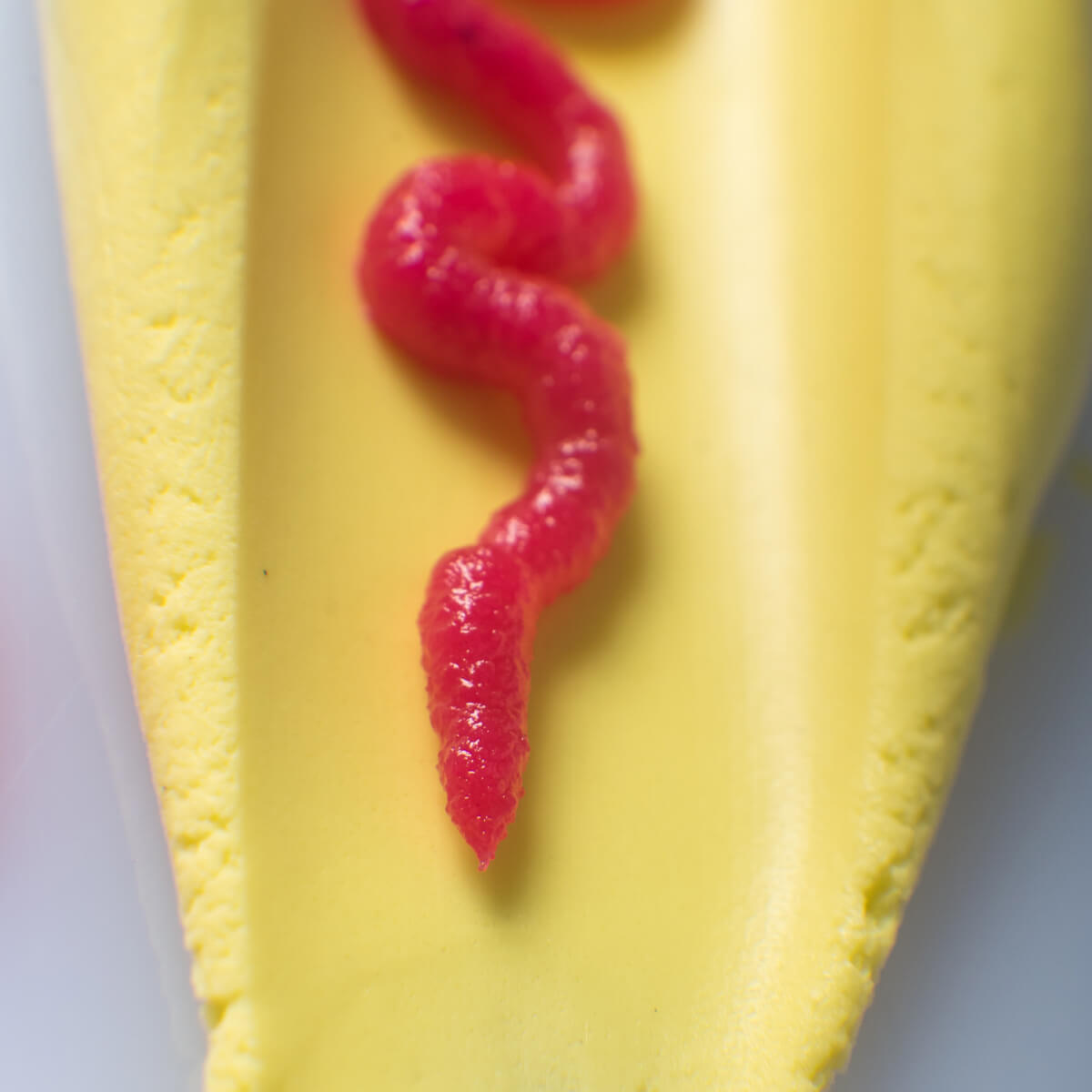 Protesil Catalyst Gel - Vannini Dental Industry