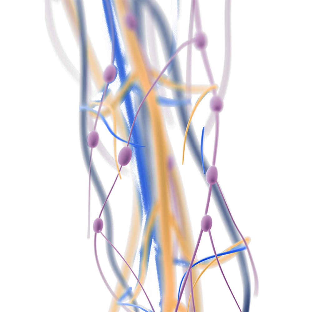 Meet Neuroglide™ | An Innovative System That Helps You Feel Better