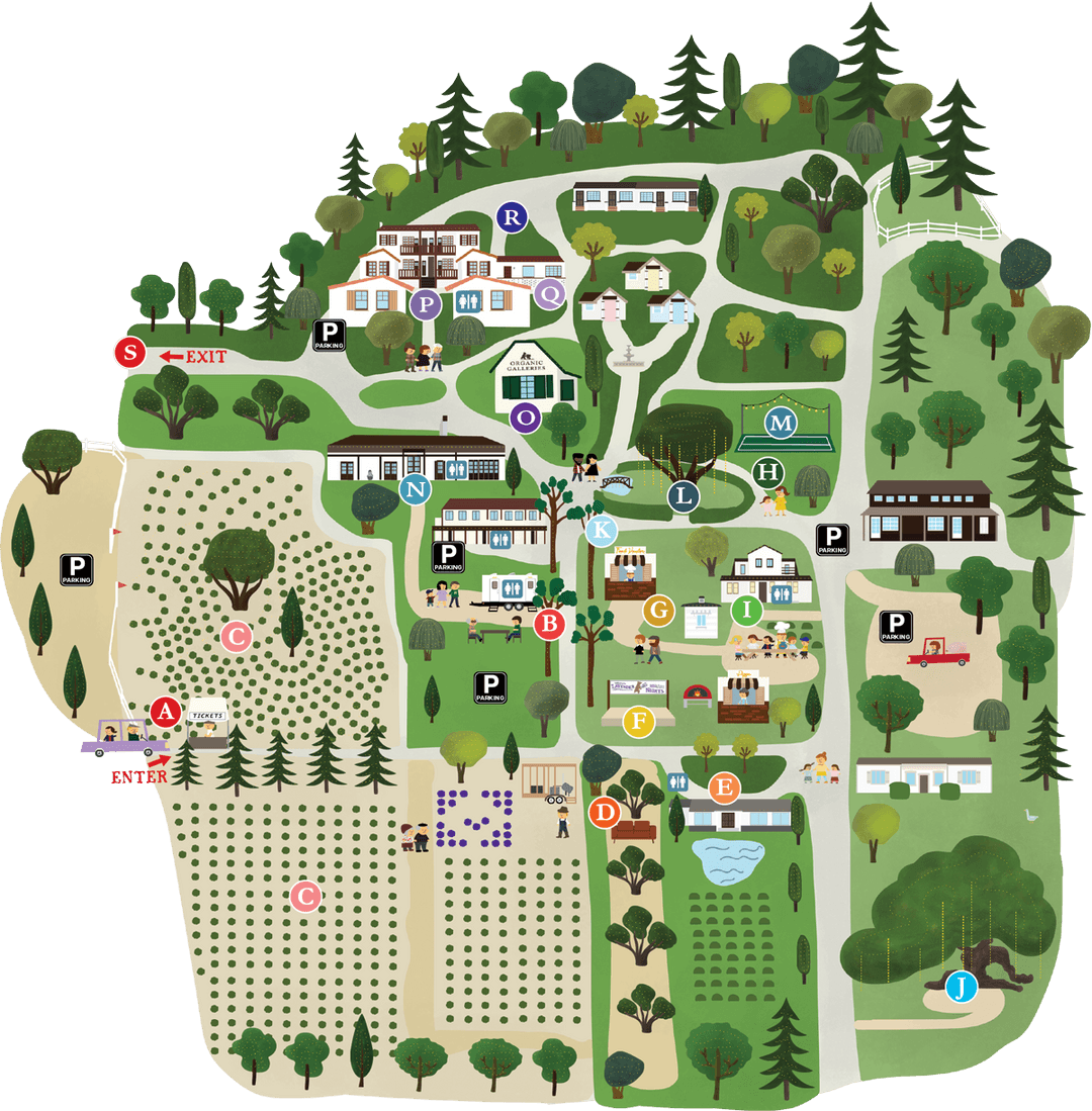 Lavender Nights at 123 Farm