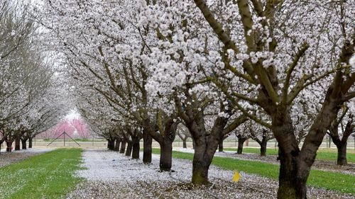 Blom & Howell Financial Planning | Our Team