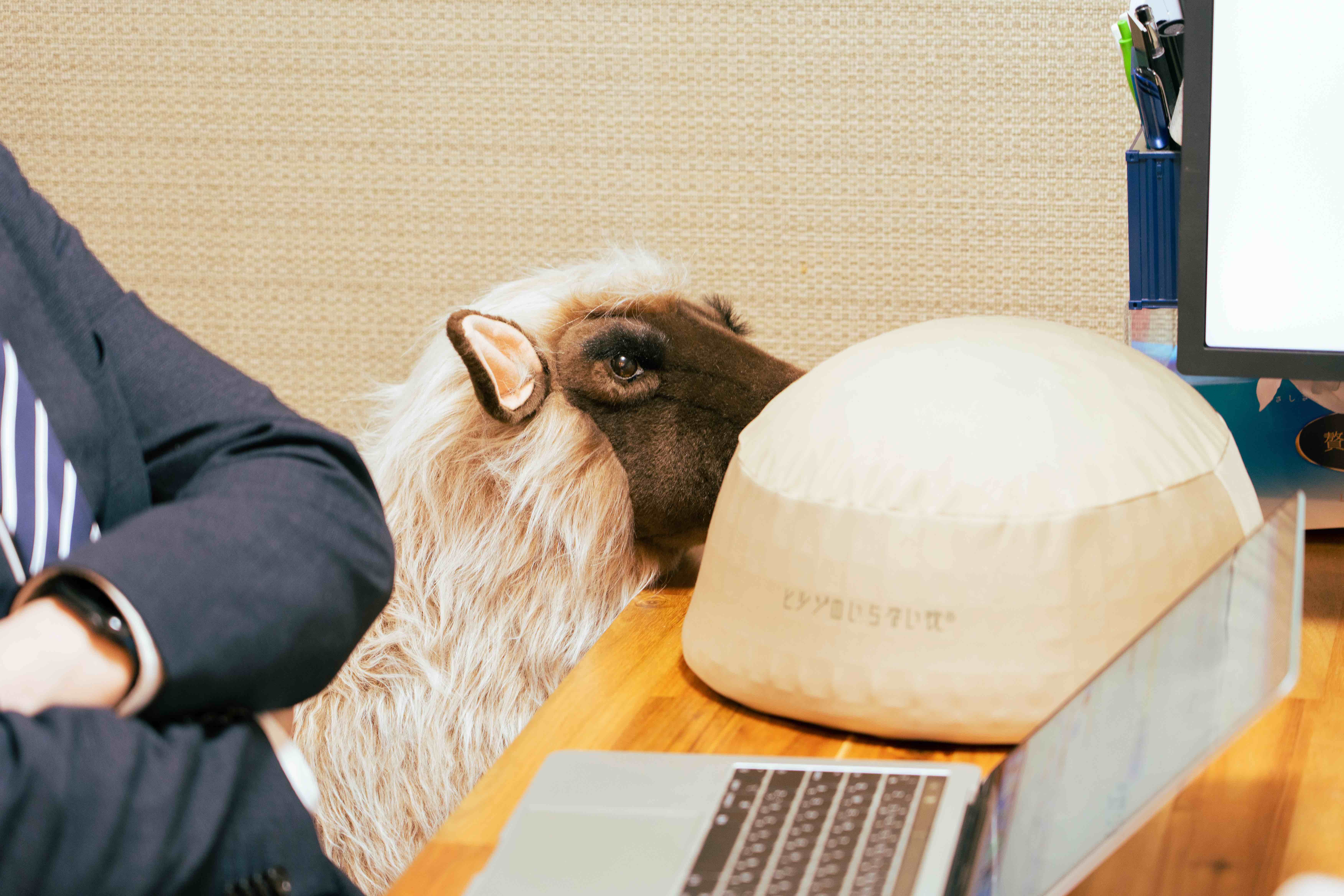 「Makuake」プロジェクトはこうして生まれる！応援購入ドキュメンタリーvol.3〜プロジェクトスタート編〜 | Makuake Magazine