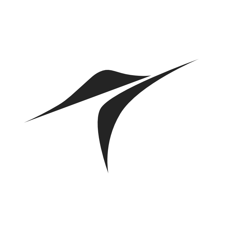 Ray Marketing - Webflow