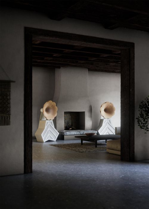 A for Ara | FS-2 Collection