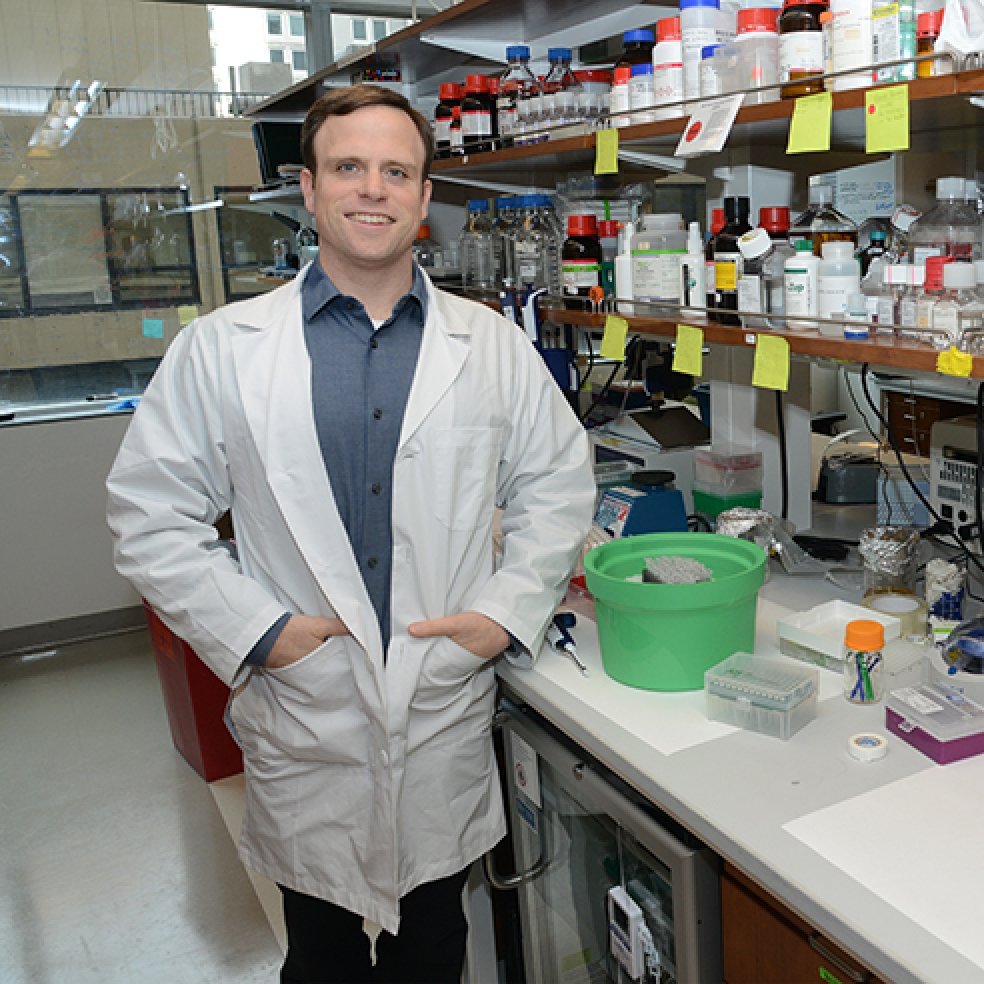 Dropping the "Most Sh*ttiest NFT" with Matty Mo, Ara Katz, And Dr ...