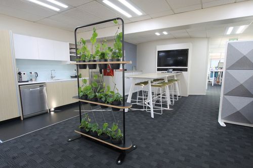 Mobile Plant Wall | SmartSpace Workspace Solutions