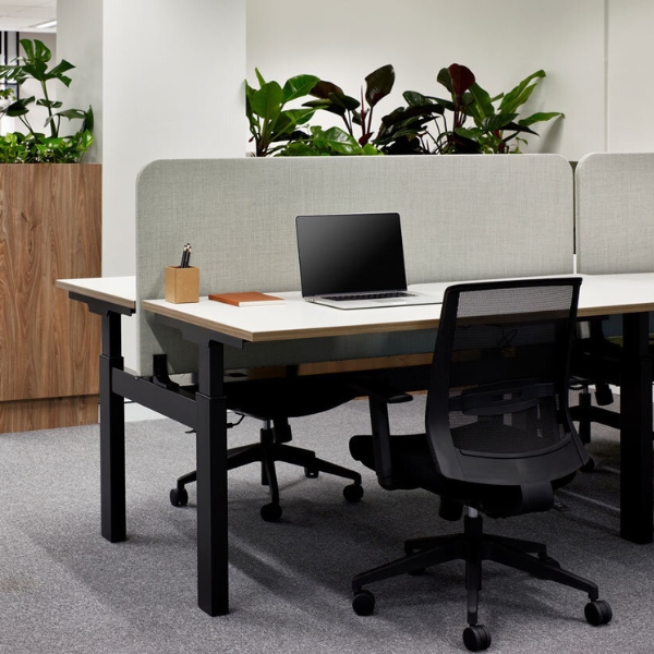 Screens & Dividers | SmartSpace