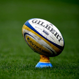 Tashreeq's Workspace - Webflow