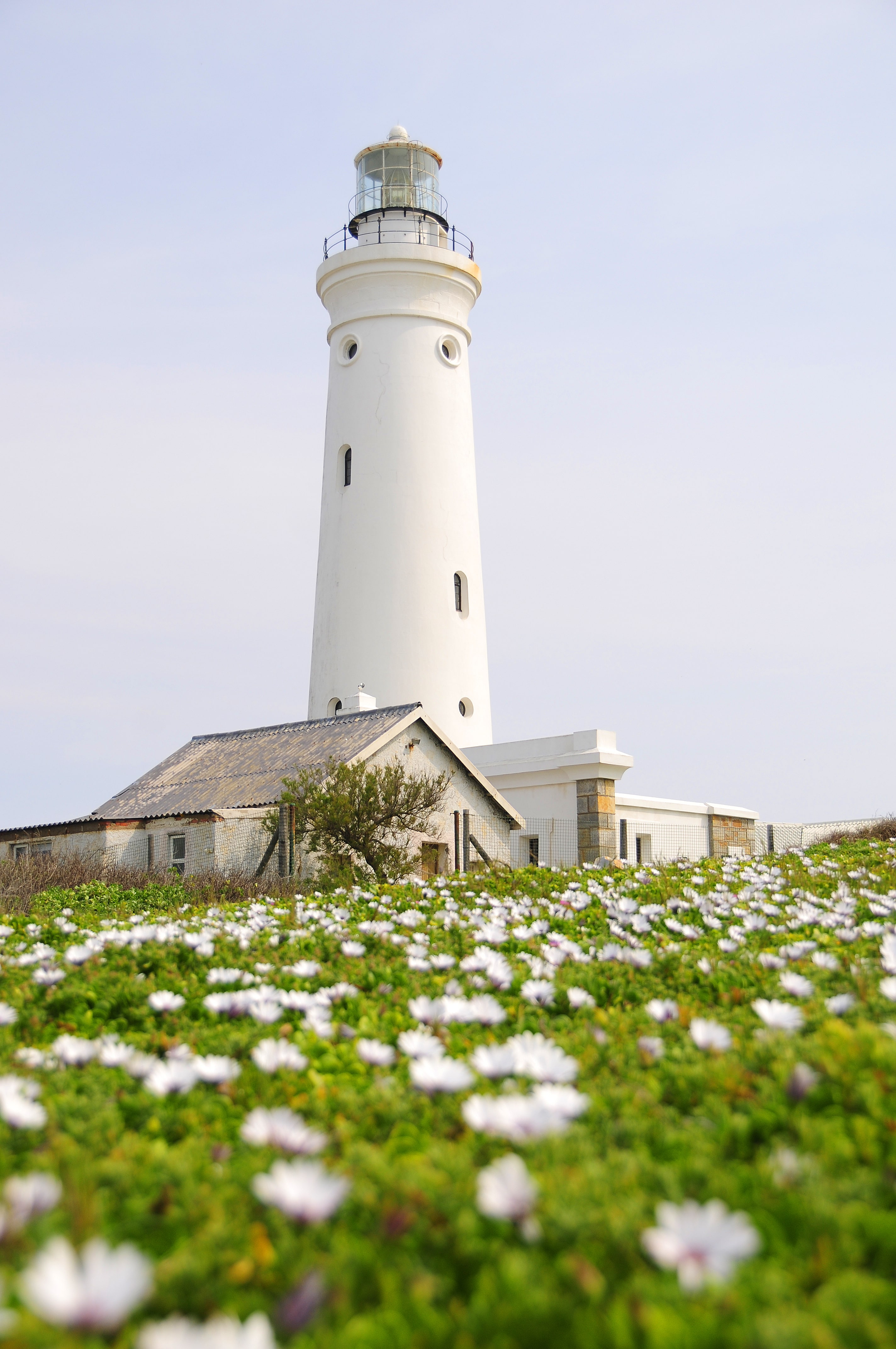 Cape St Francis Accommodation | Stone Throw from Beach | GoodWaves ...