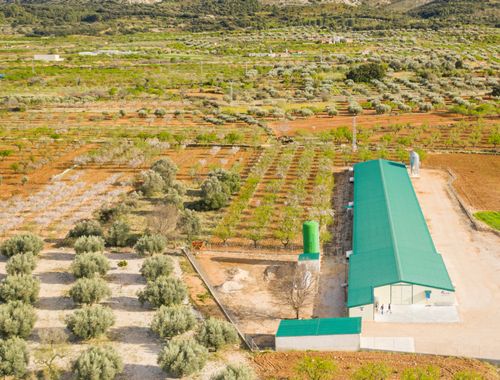 nealia | Disrupting a traditional industry with technology.