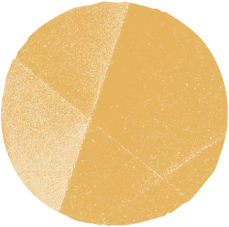 Connect Academy Trust • A Future For Everyone