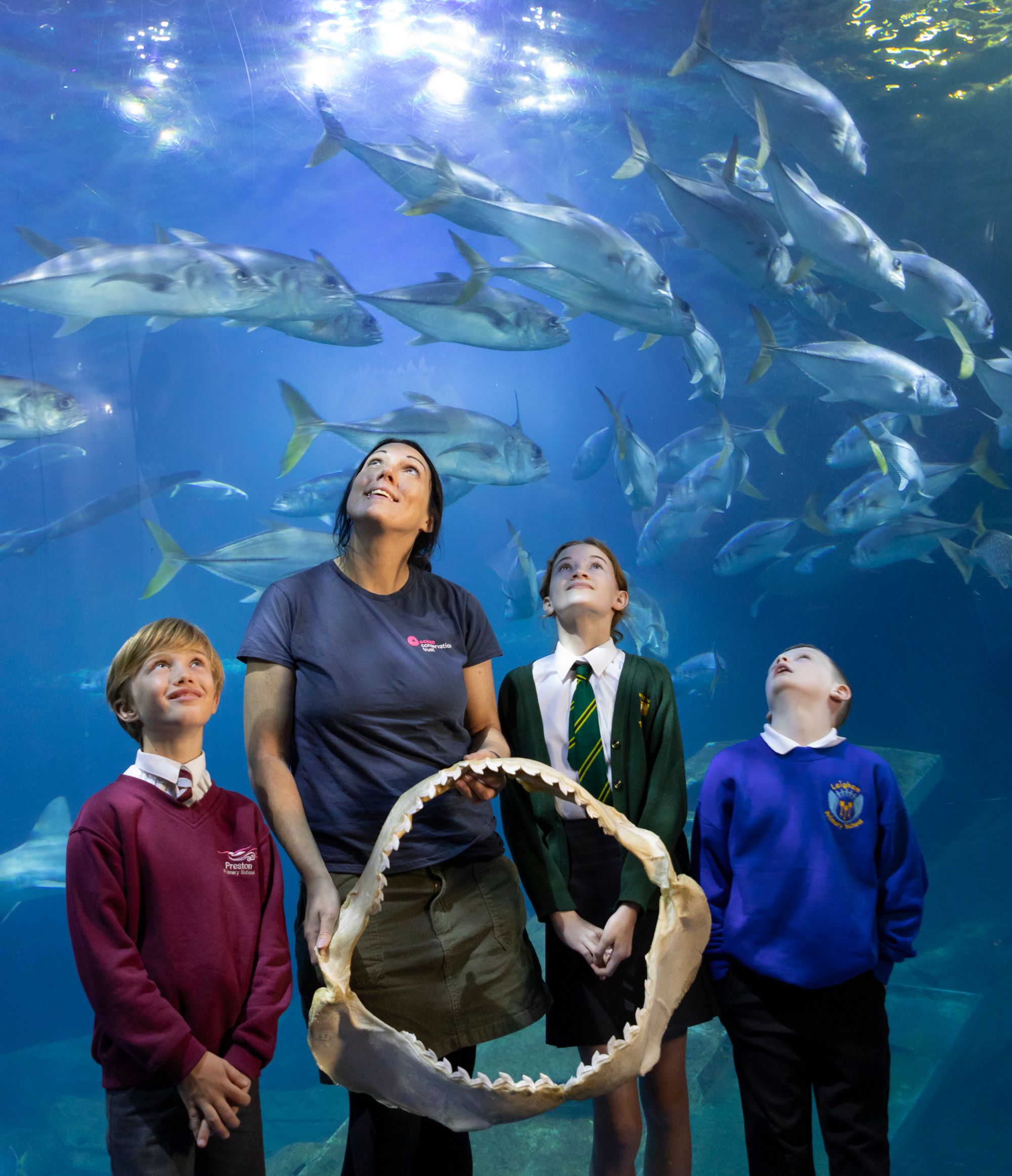 Ocean Conservation Curriculum • Connect Academy Trust