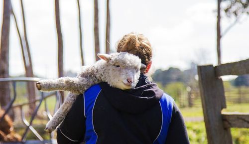 Animal Land Children's Farm | Diggers Rest