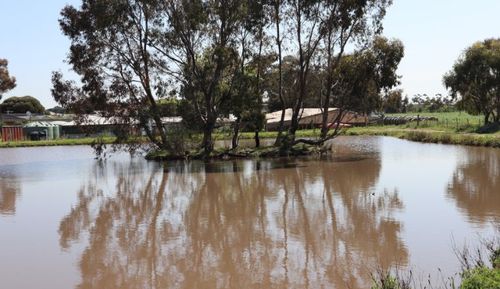 Animal Land Children's Farm | Diggers Rest