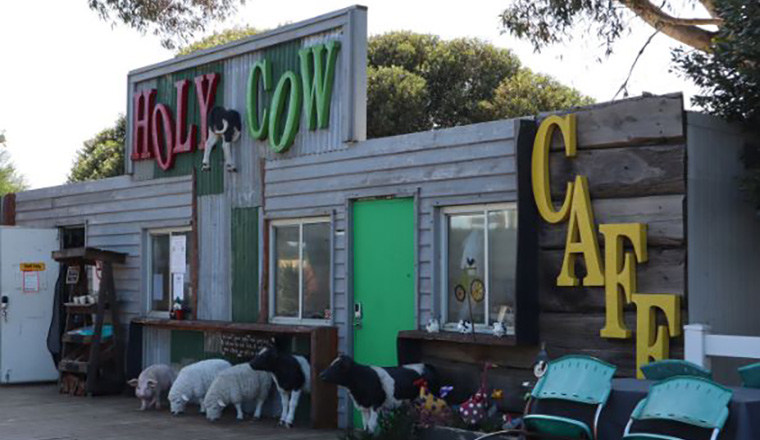 Animal Land Children's Farm | Diggers Rest
