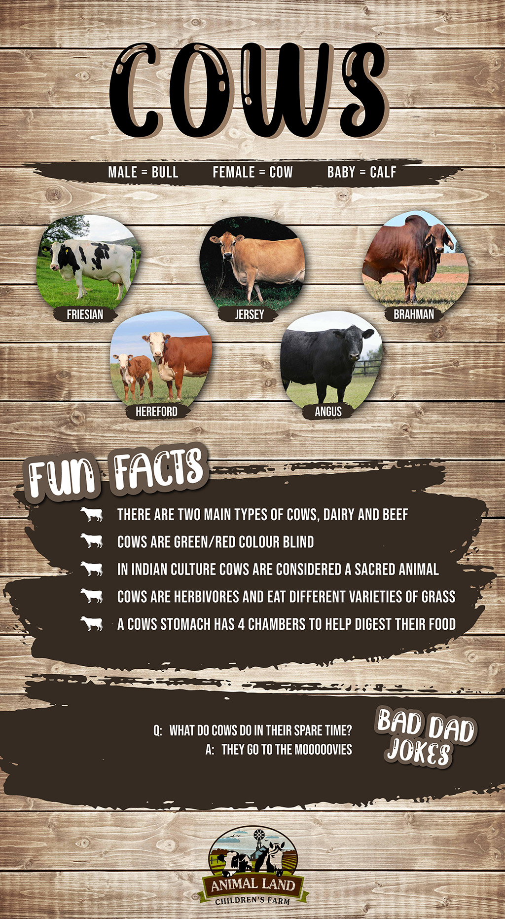 Classroom Resources | Animal Land Children's Farm