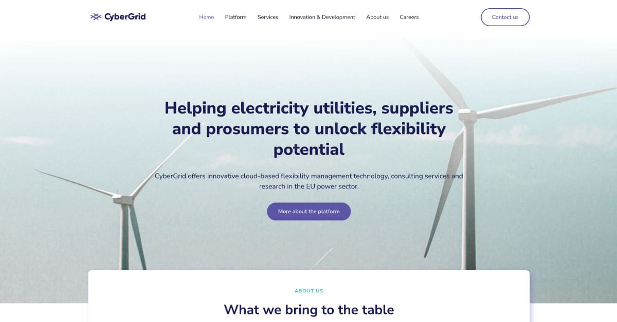 CyberGrid | Flexibility experts since 2010