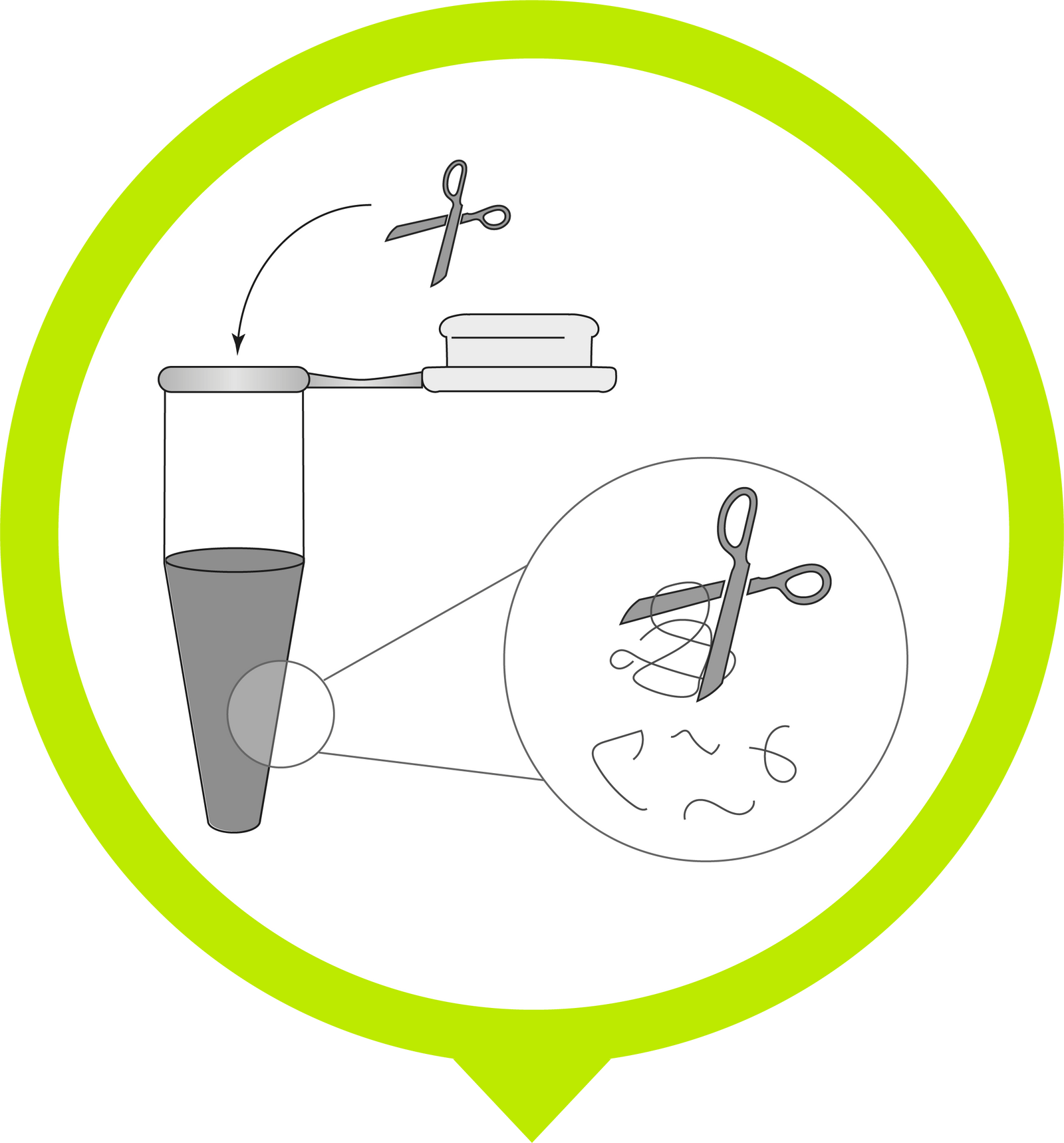 Smile! Proteomics sample preparation simplified | PreOmics