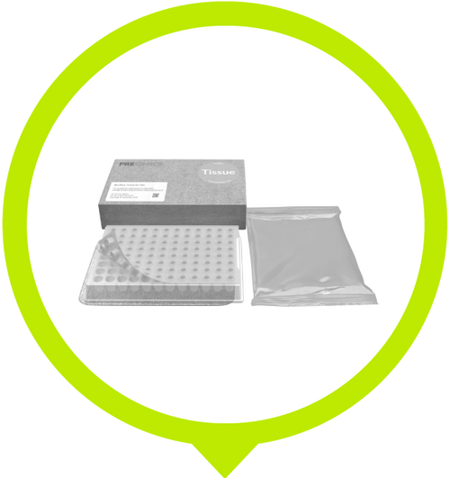 Smile! Cell lysis and tissue homogenization simplified | PreOmics