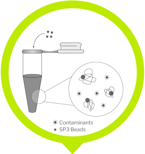 Smile! SP3-based sample preparation simplified | PreOmics