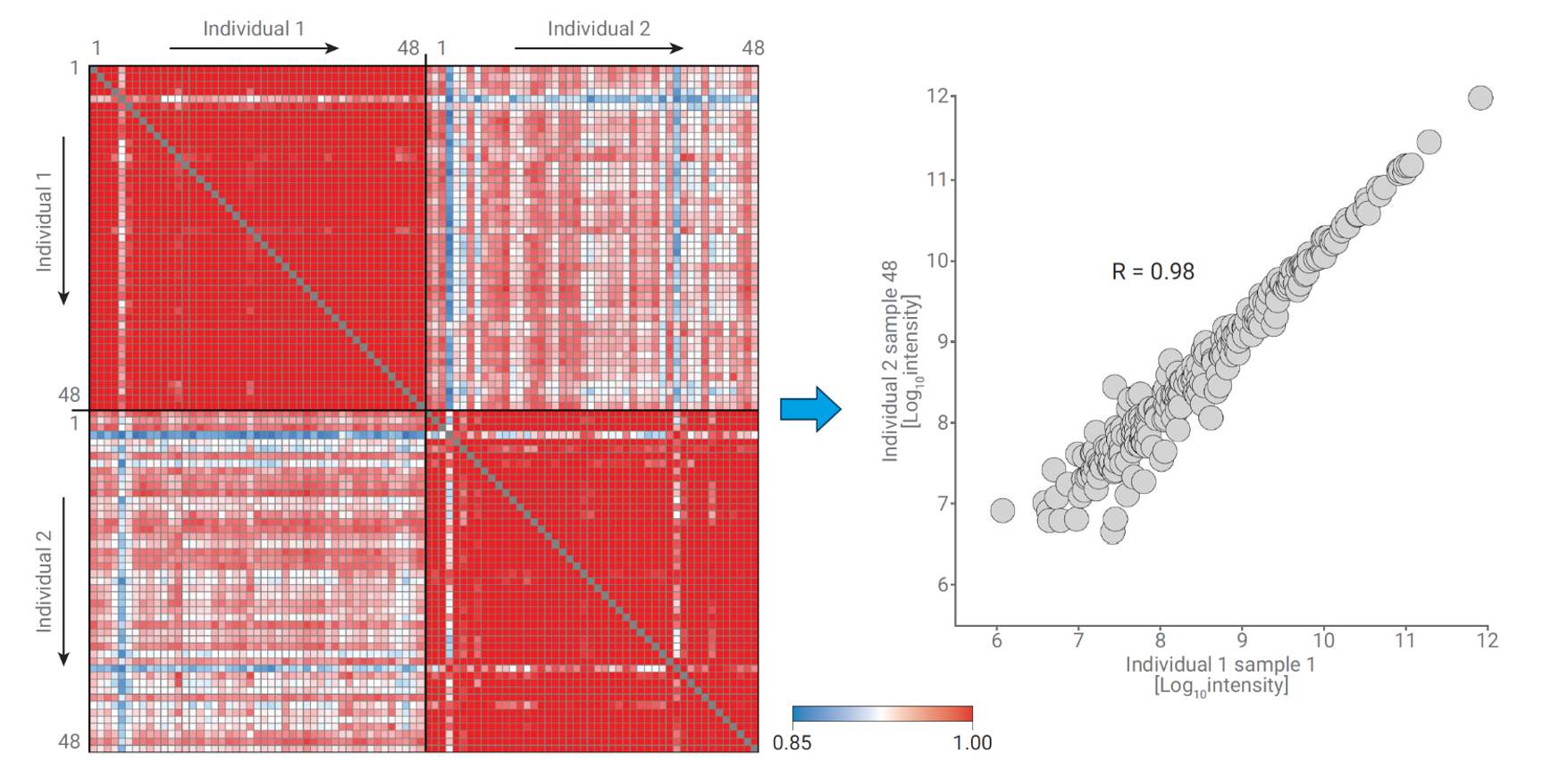 Smile! Protein and peptide sample preparation automated | PreOmics