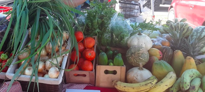 Where to Buy Local Produce in Puerto Rico - Puerto Rico+
