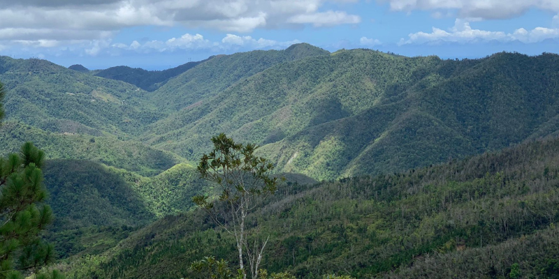 Surf Spots Around Puerto Rico - Puerto Rico+