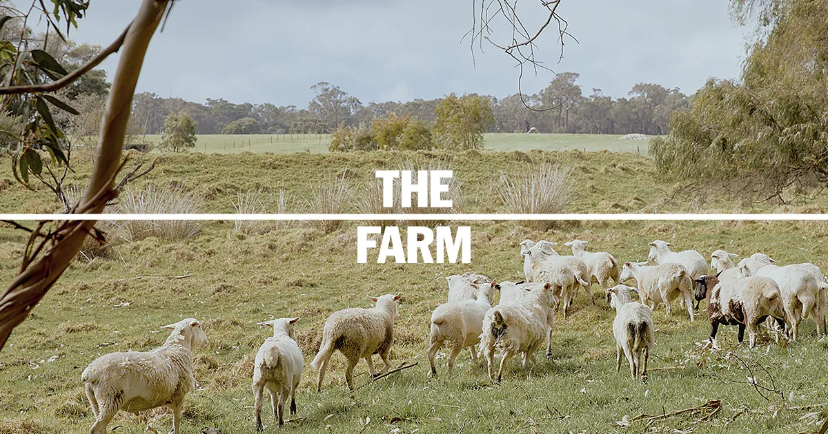 Home | The Farm