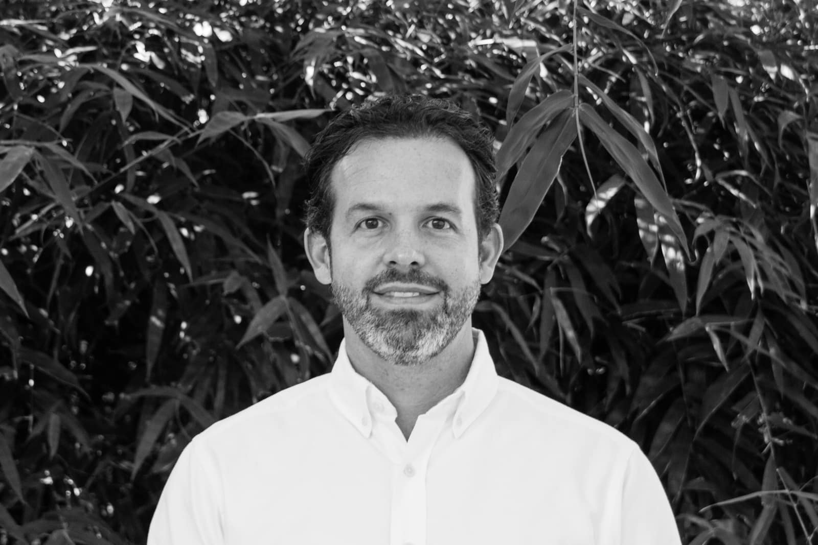 Hollingsworth Pack 2022