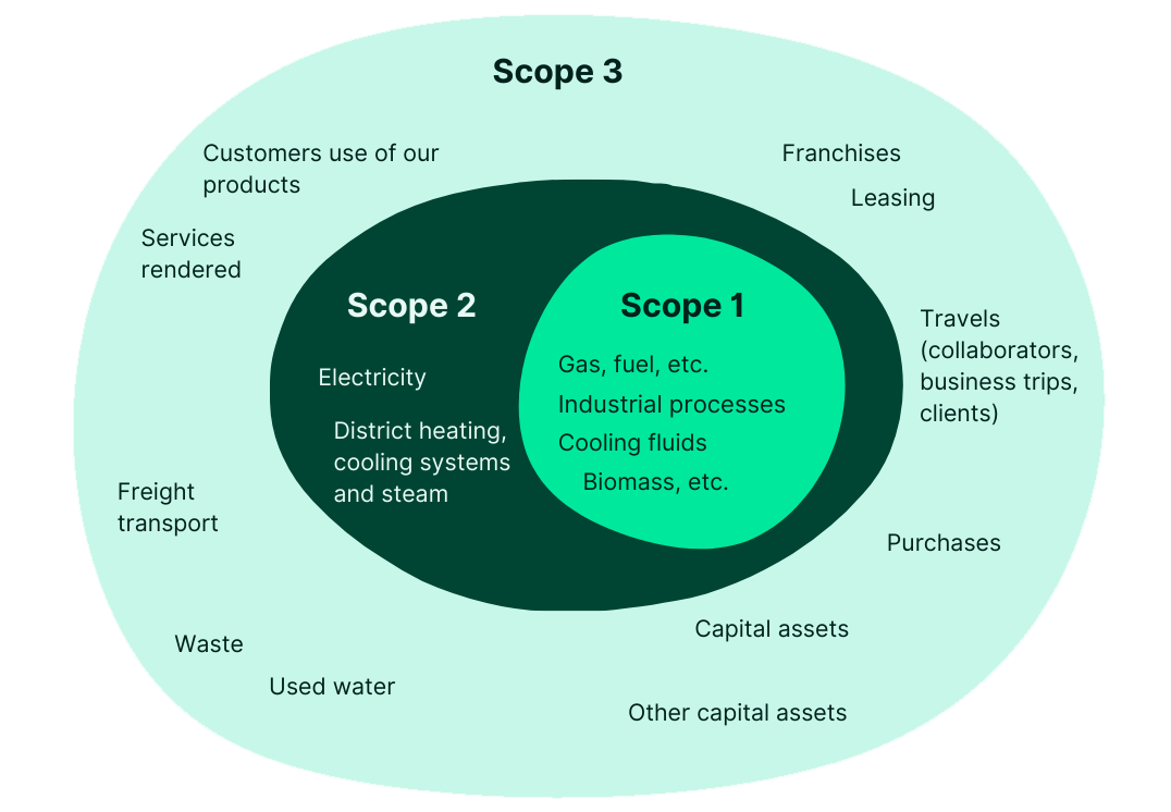 Lixo's First Carbon Footprint Audit - What We Learned - Lixo