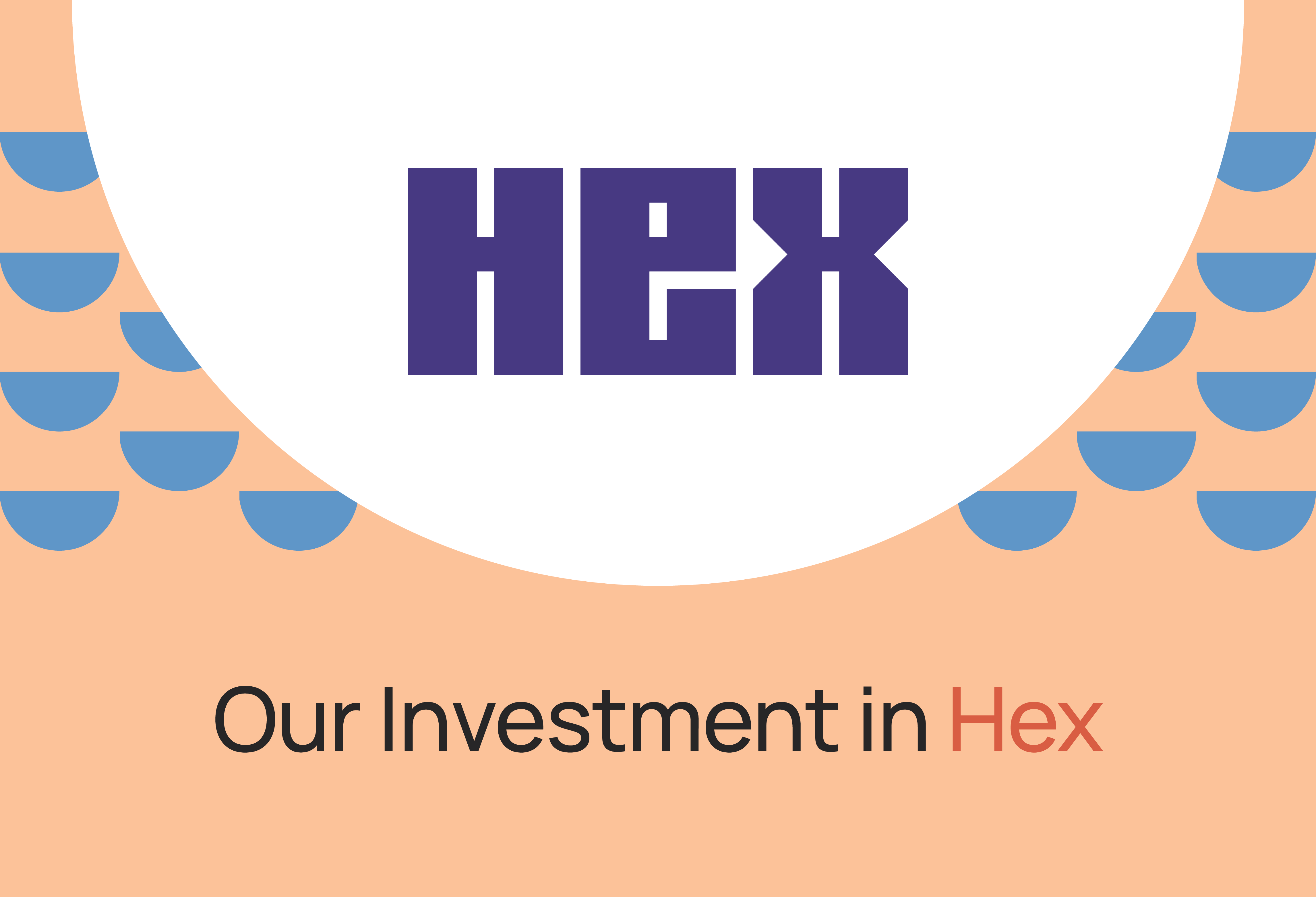 Announcing Our Investment in Hex