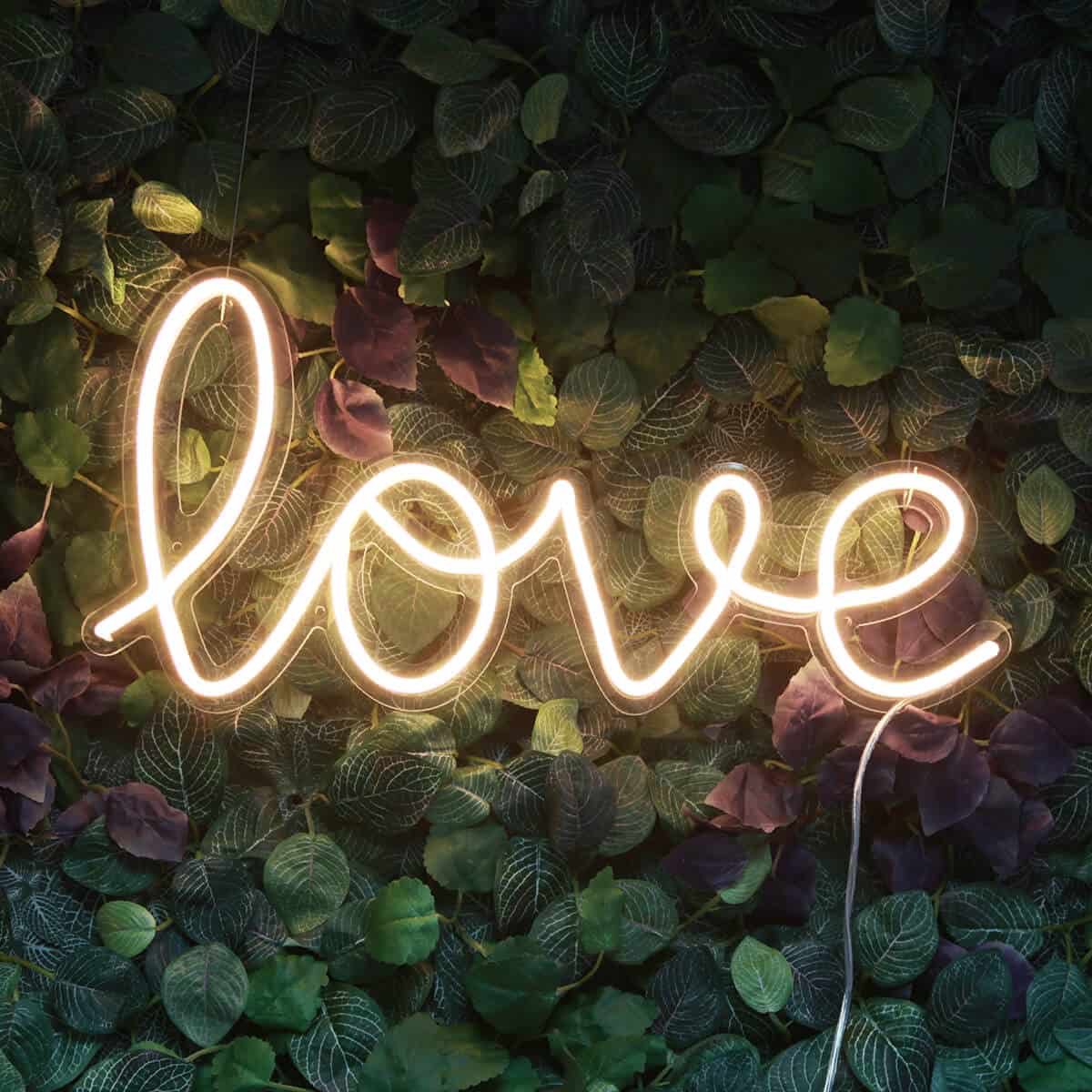 Neon Flex Signs - The Sign Group™