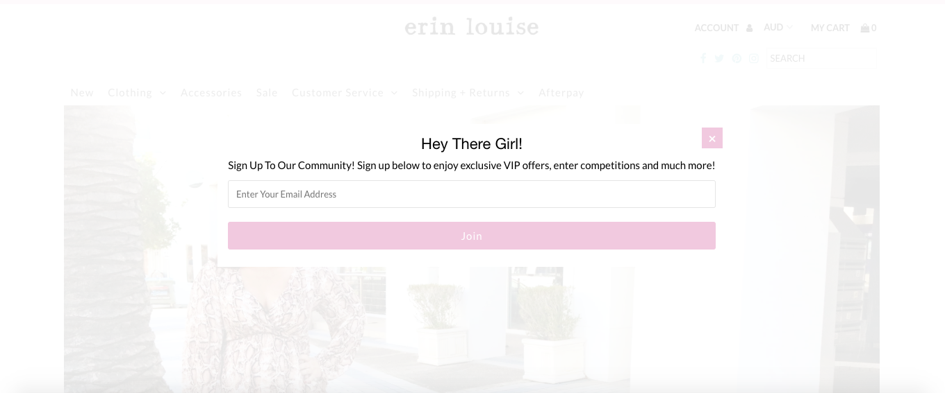 What Is an Opt-in Form for Ecommerce Stores?