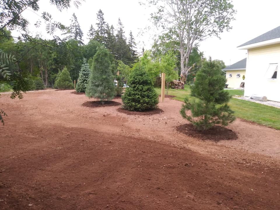 Landscaping, Road Making, & Tree Clearing | McCormick Landscaping