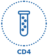 What is a CD4 Count
