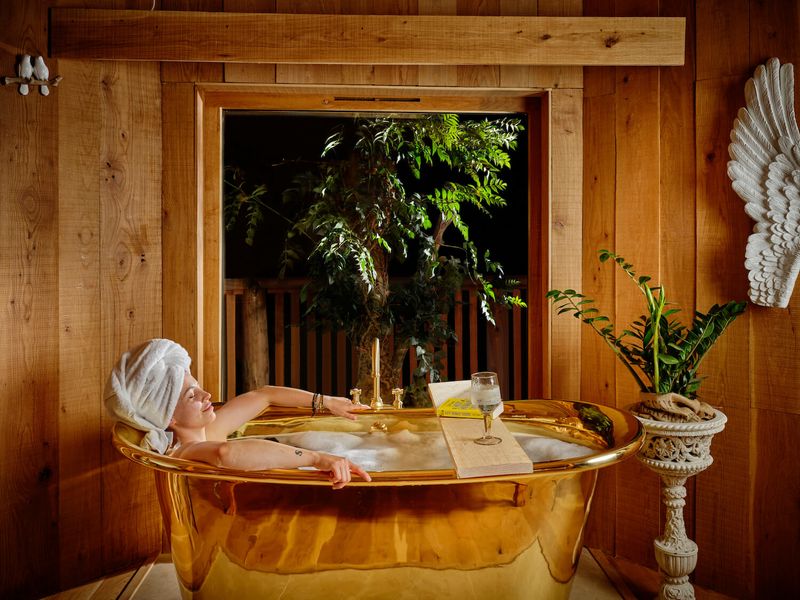 Stay in Nest Treehouse at Sleepy Owl Devon - perfect for couples and ...