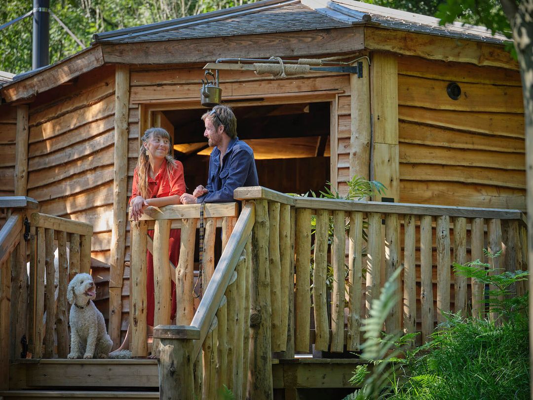 Luxury Designer Treehouse holiday in North Devon