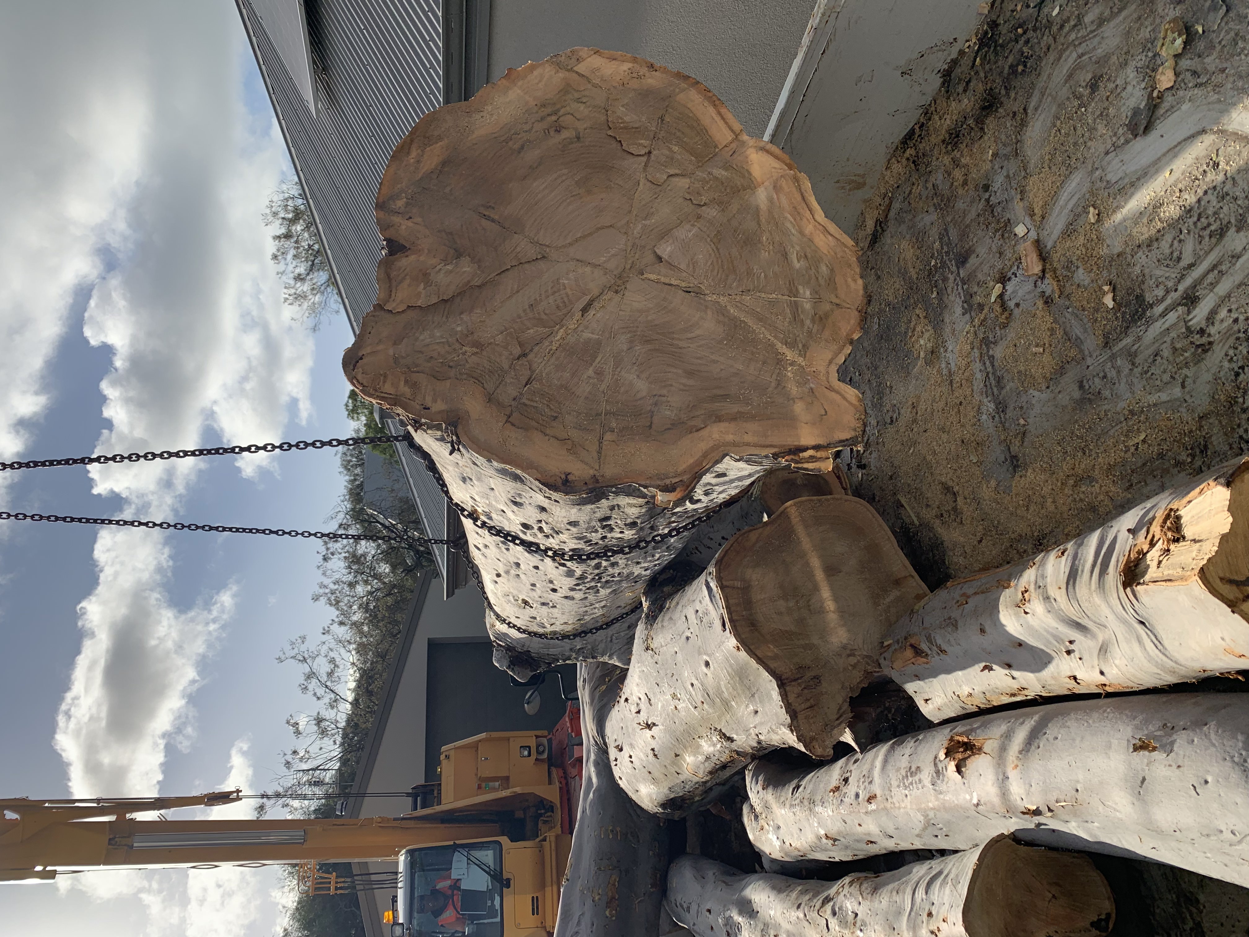 Naturaliste Tree Care | Mulching