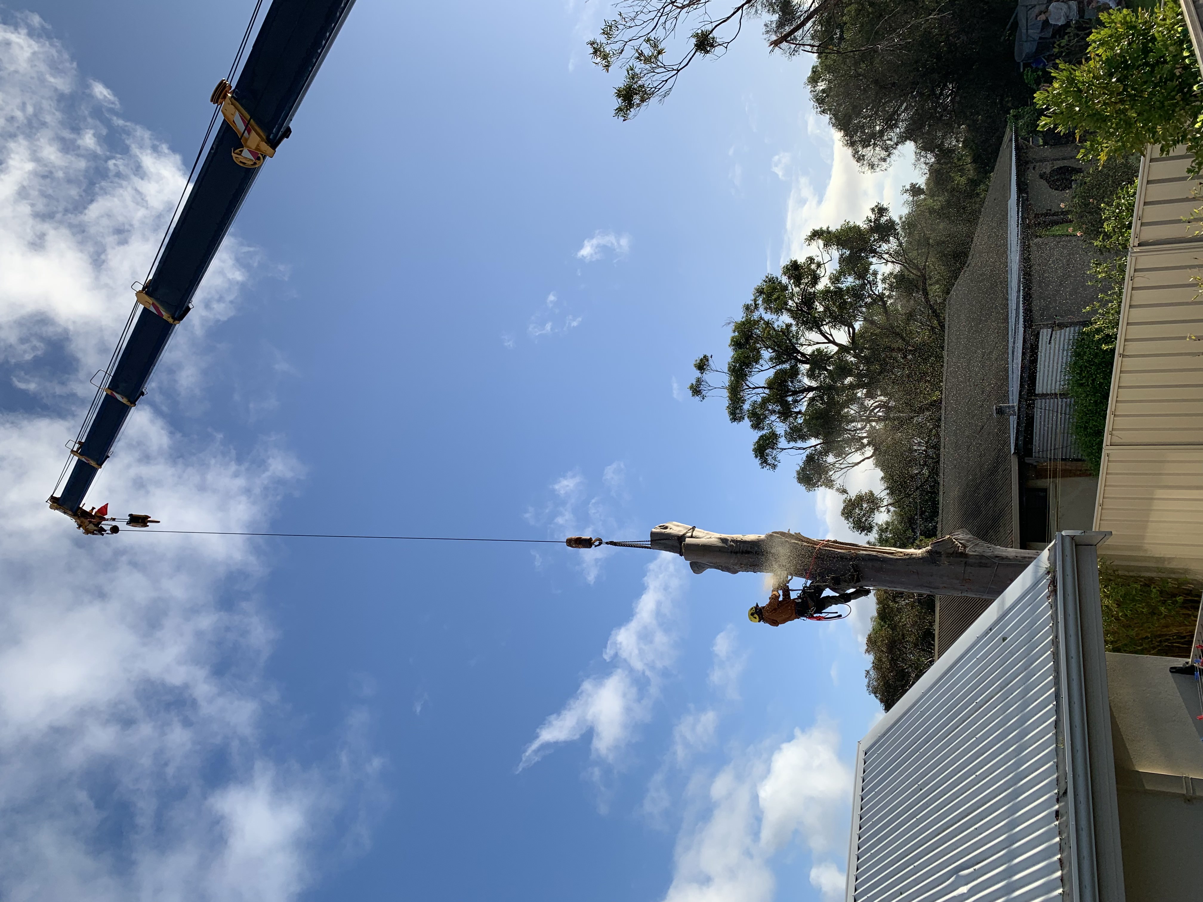 Naturaliste Tree Care | 24 Hour Emergency Work in the South West