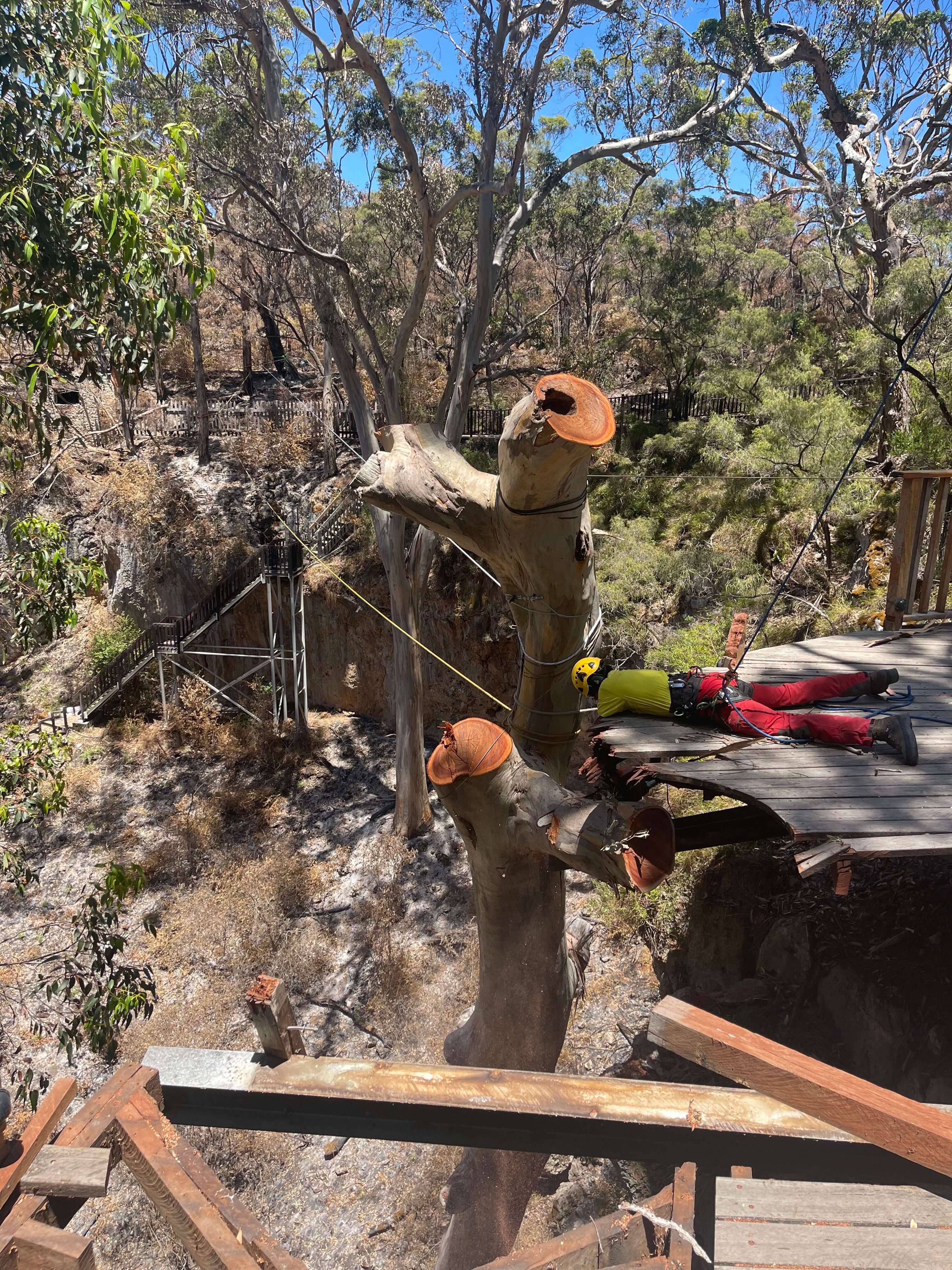 Naturaliste Tree Care | Fire Hazard Prevention