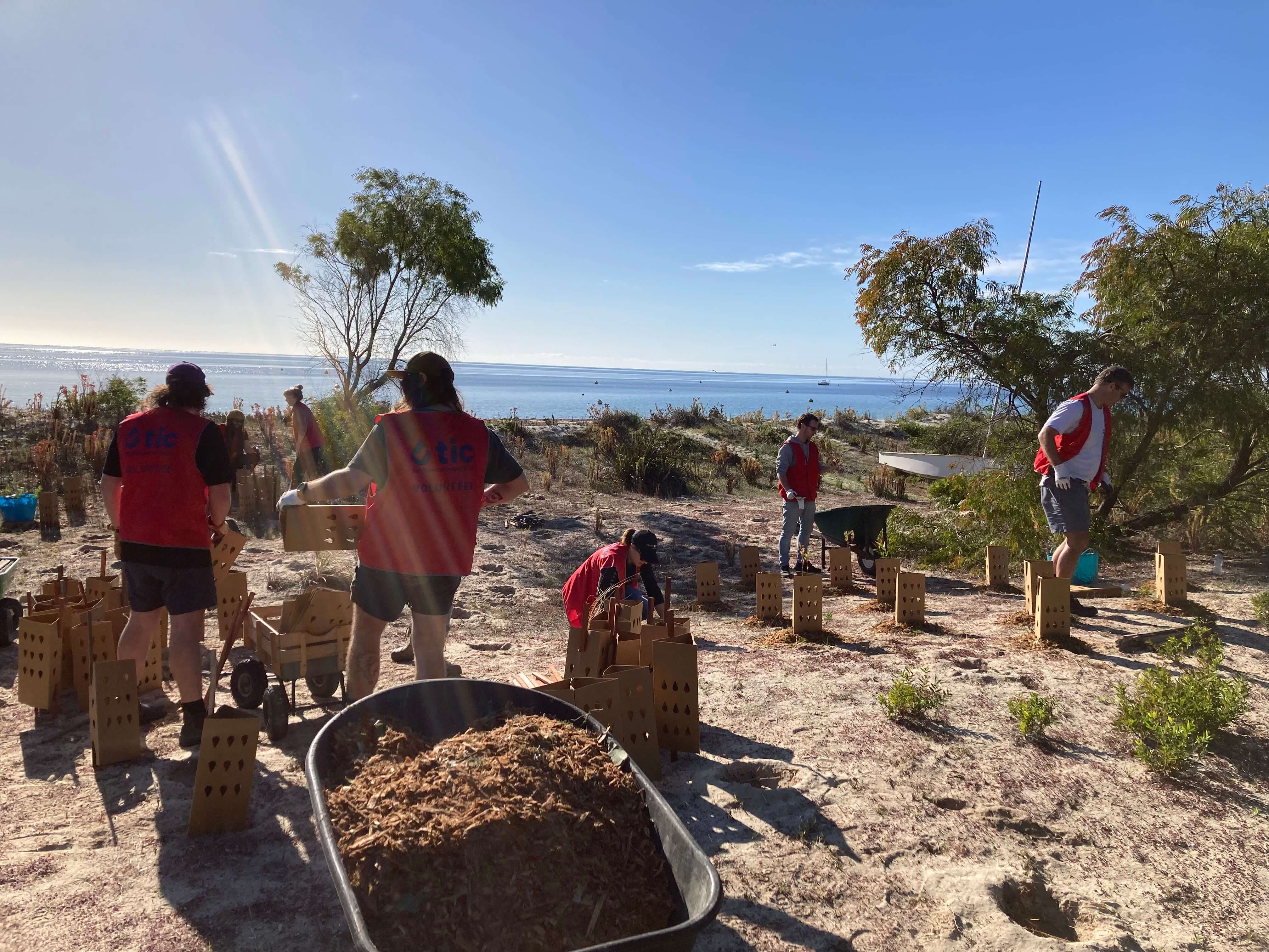 Naturaliste Tree Care | Tree Planting & Transplanting in the South West