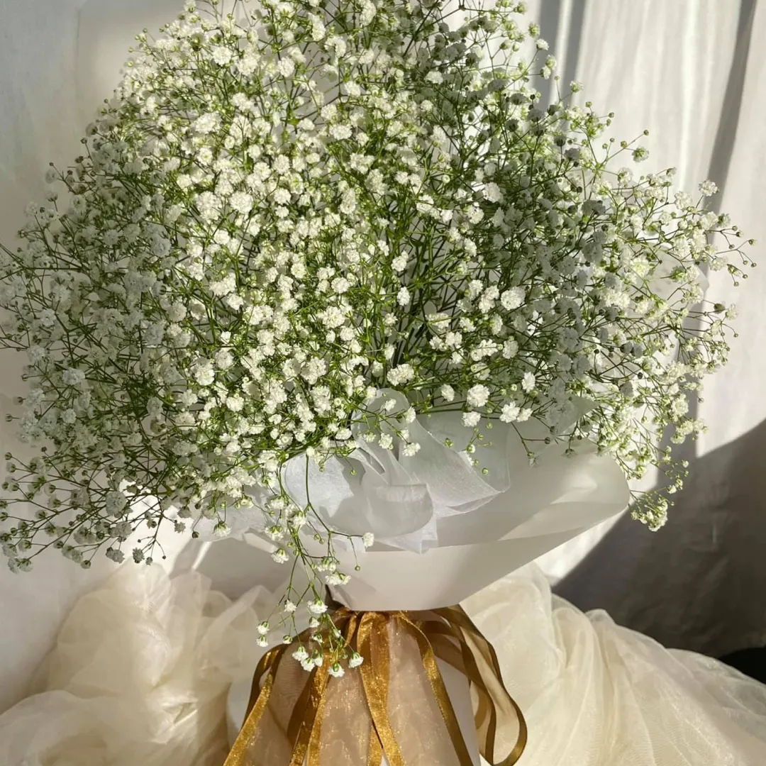 Flower Delivery Brisbane | Florist Brisbane | Fleurista