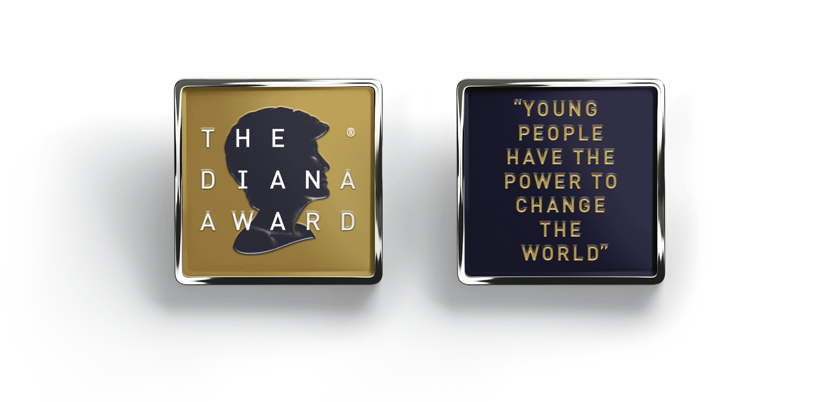 The Diana Award - Award and Development