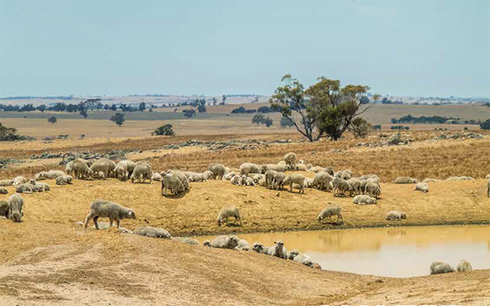 Home | Droughtinfo.com.au