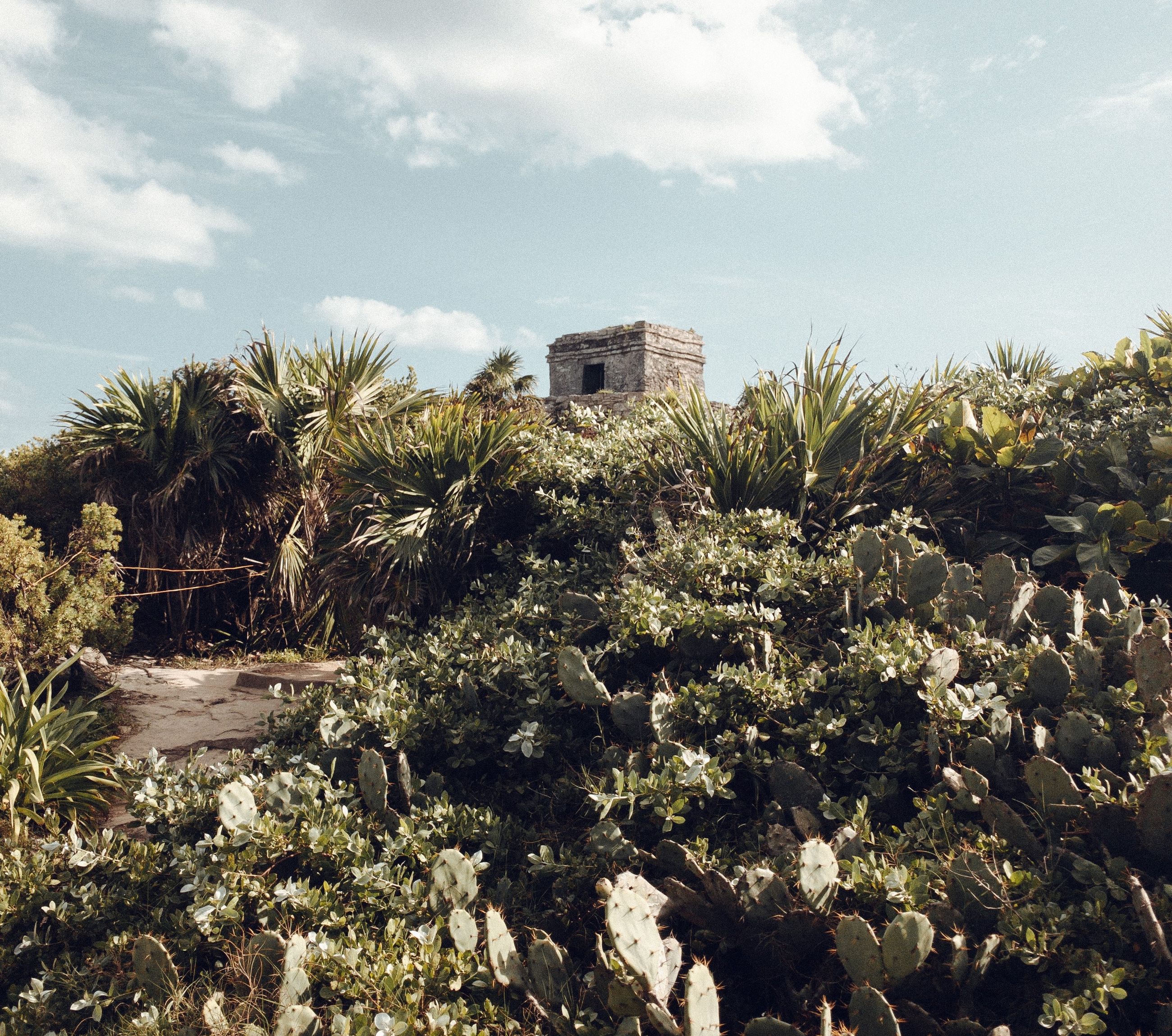 Kaaba Luum - Experience