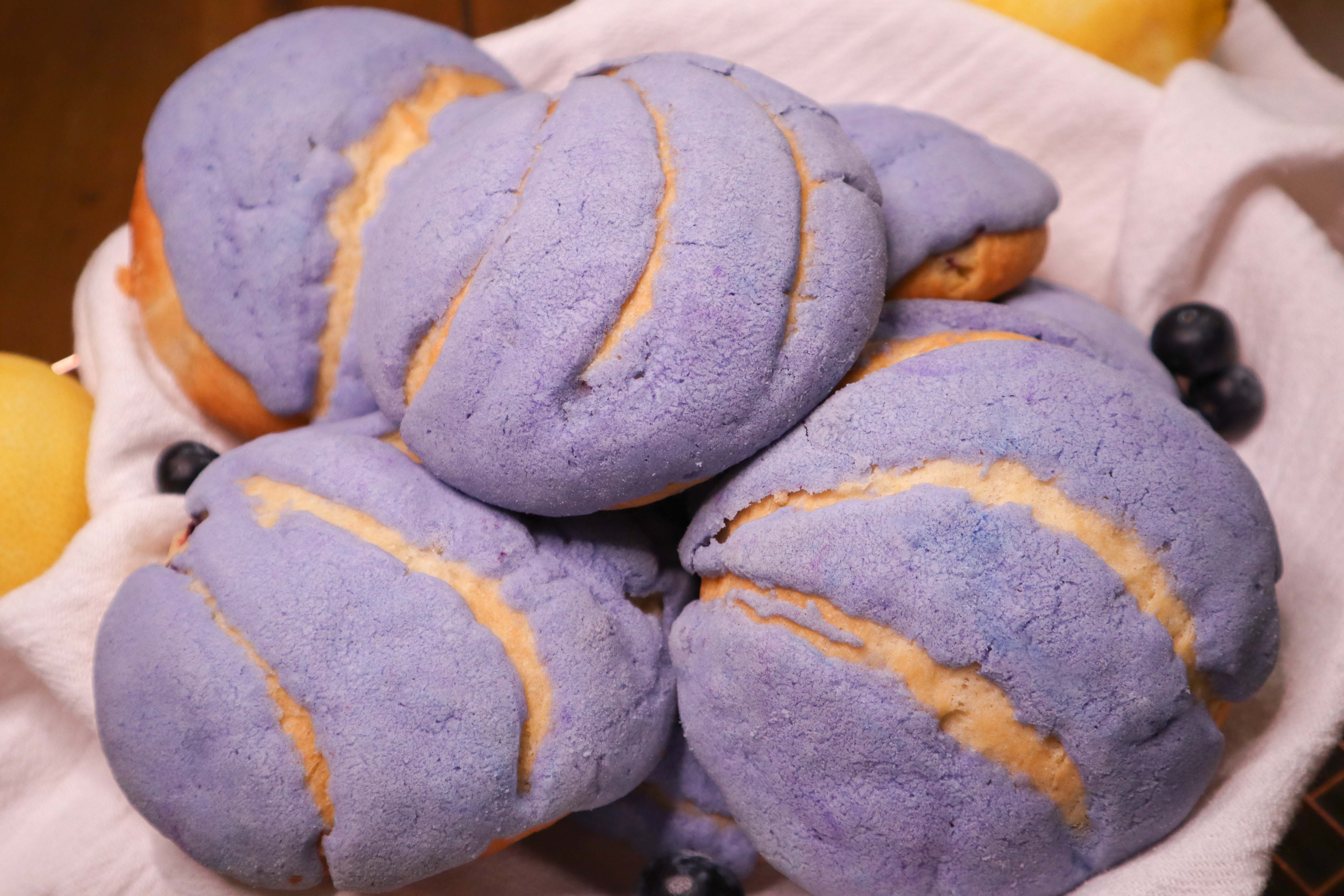 Lemon Blueberry Conchas