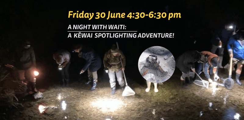 Mountains to Sea Wellington